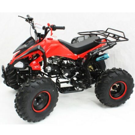 Hawkmoto Interceptor 125cc Automatic Kids Quad Bike - Red - Outside Play