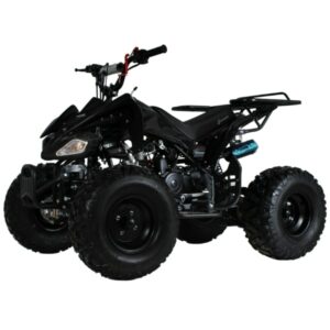 Hawkmoto Interceptor 125cc Automatic Kids Quad Bike - Black - Outside Play