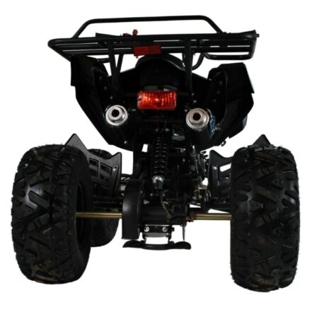 Hawkmoto Interceptor 125cc Automatic Kids Quad Bike - Black - Outside Play