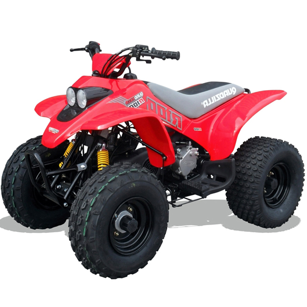 Quadzilla R100 Kids Quad Bike 100cc 2 Stroke Red - Outside Play