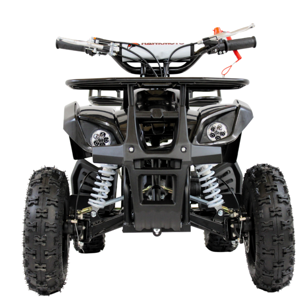 50cc Mini Quad Bike For Kids