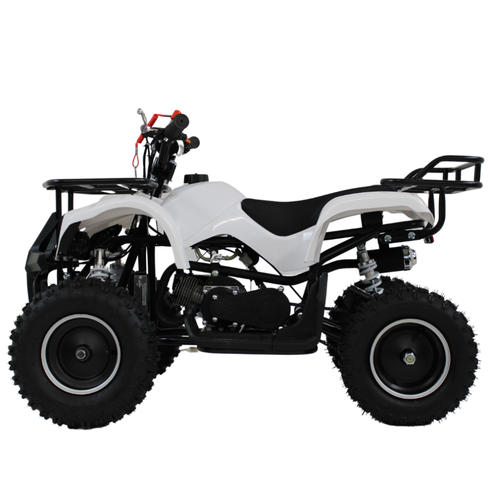 50cc Mini Quad Bike For Kids